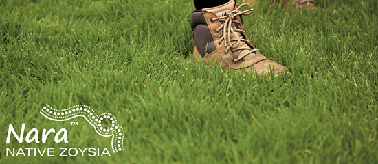 Premium Turf - Premium Turf